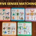 Five Senses Matching, Homeschool Resource, 5 Senses Sorting, Busy Bag ...