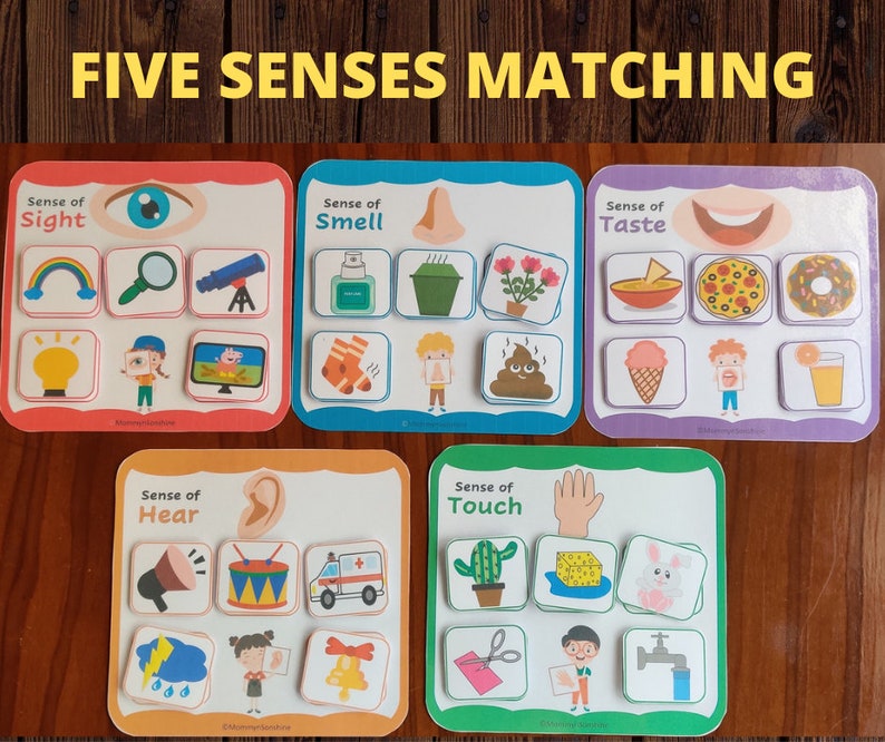 Five Senses Matching, Homeschool Resource, 5 Senses Sorting, Busy Bag ...