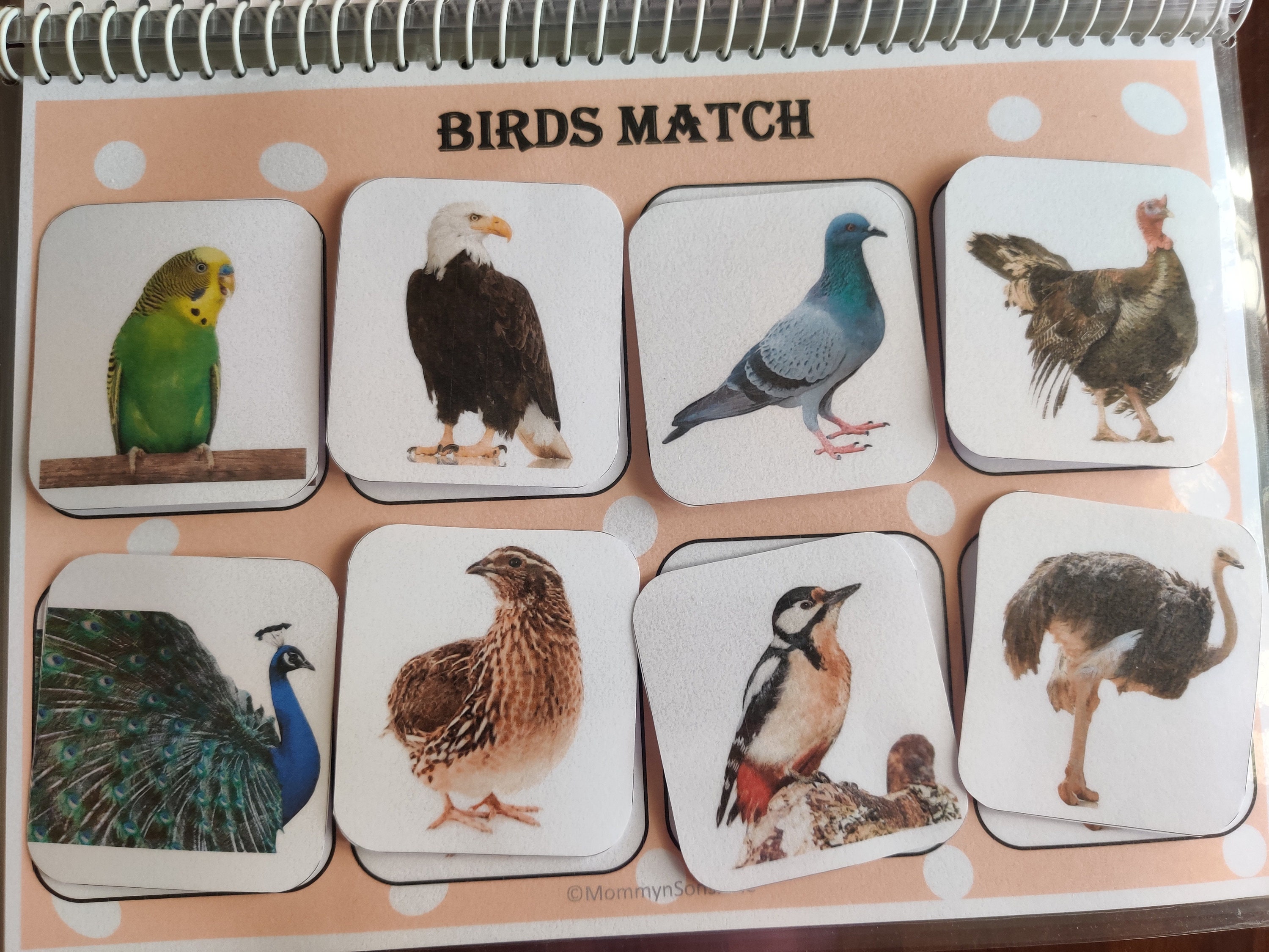 Montessori Matching Binder Busy Book for 1 Year Olds - Etsy