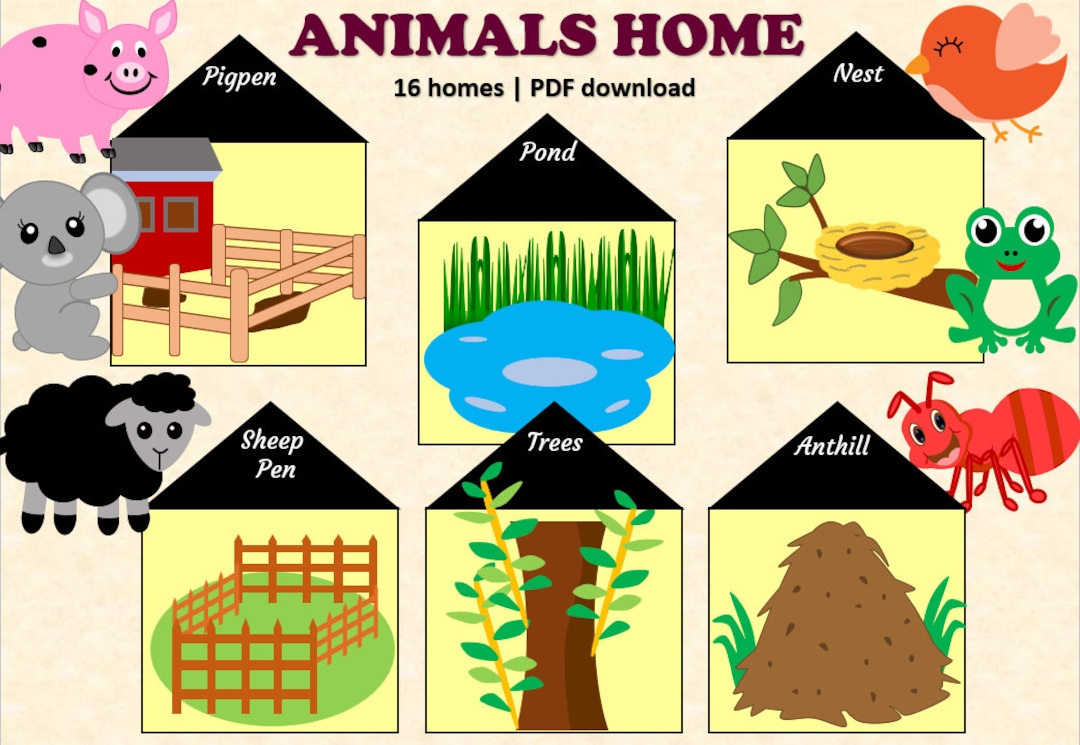 Animals Home, Where Do Animals Live - Etsy