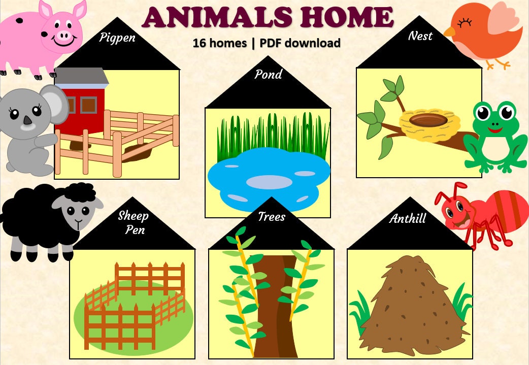 Animals Home, Where Do Animals Live - Etsy