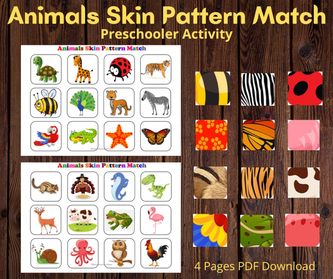 Animals Skin Pattern, Toddler Activity, File Folder Games, Busy Book ...