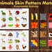 Animals Skin Pattern, Toddler Activity, File Folder Games, Busy Book ...