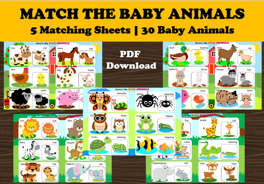 Toddler Busy Binder, Matching Baby Animals, Mother and Babies Name ...