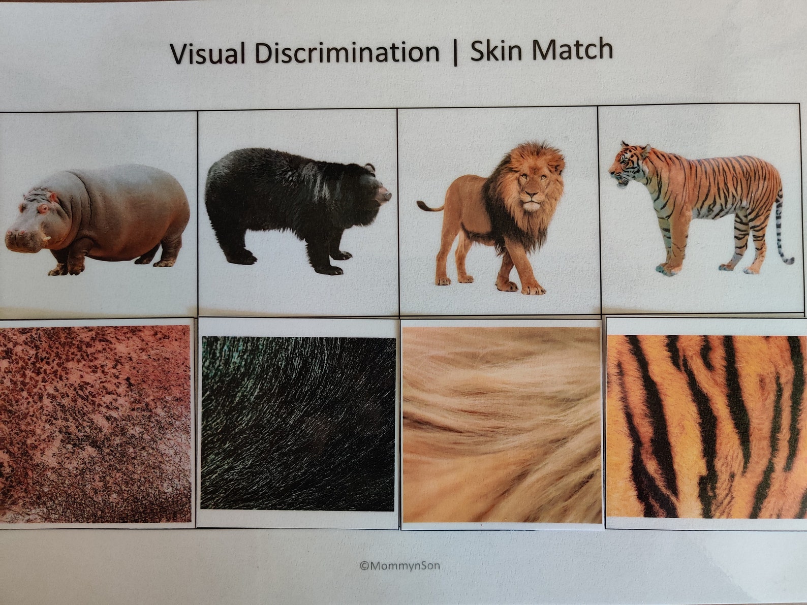 Buy Wild Animals Pattern Match Montessori Homeschooling Quiet Time ...