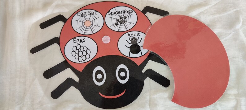 Lifecycle Activities Bugs & Insects Busy Book Interactive | Etsy