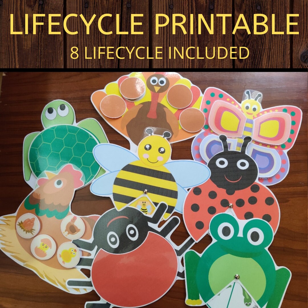 Buy Lifecycle Activities Bugs & Insects Busy Book Interactive Learning ...