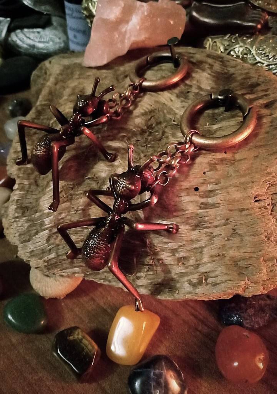 Ear Weights. Copper. Ants. Stretched Ears. Plugs and Gauges. Insect ...