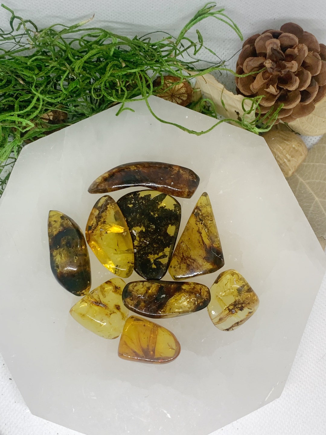 Authentic Tumbled Amber | Collector's Gemstone Tree Resin - Etsy