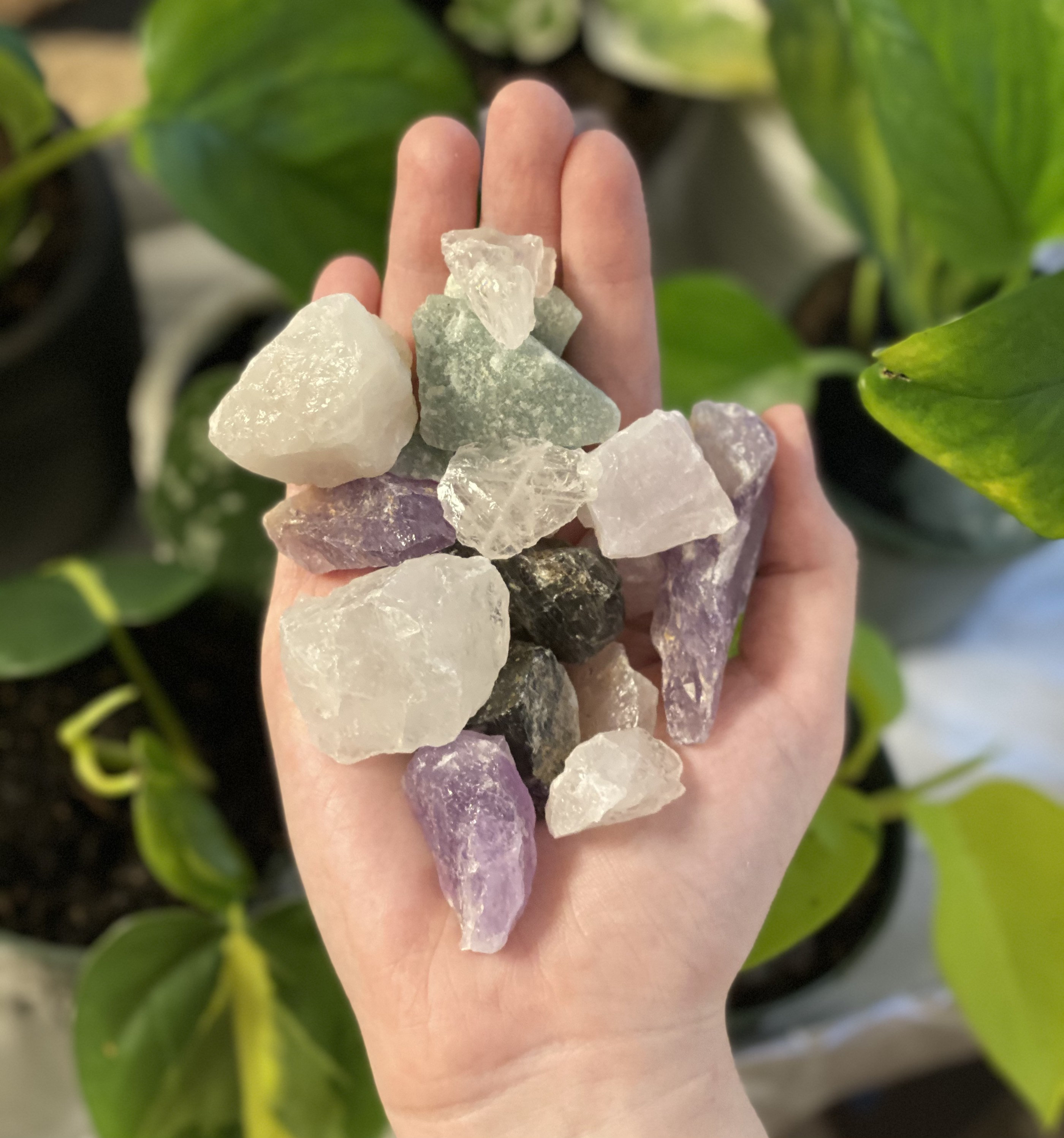 Plant Crystal Pack 1/2 Pound Crystals for Plants Clear | Etsy