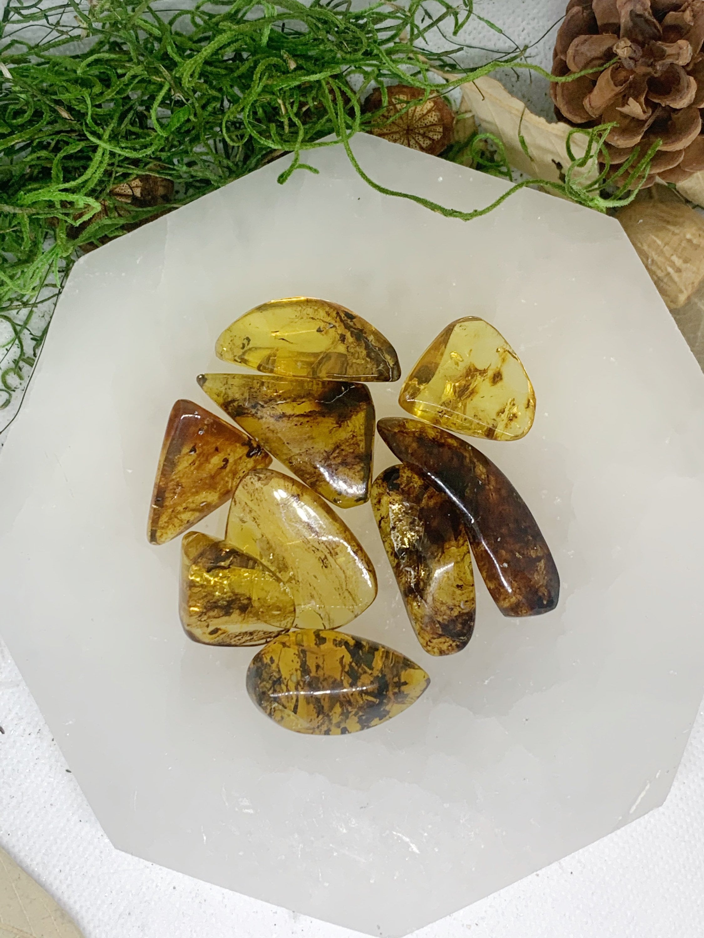 Authentic Tumbled Amber | Collector's Gemstone Tree Resin - Etsy