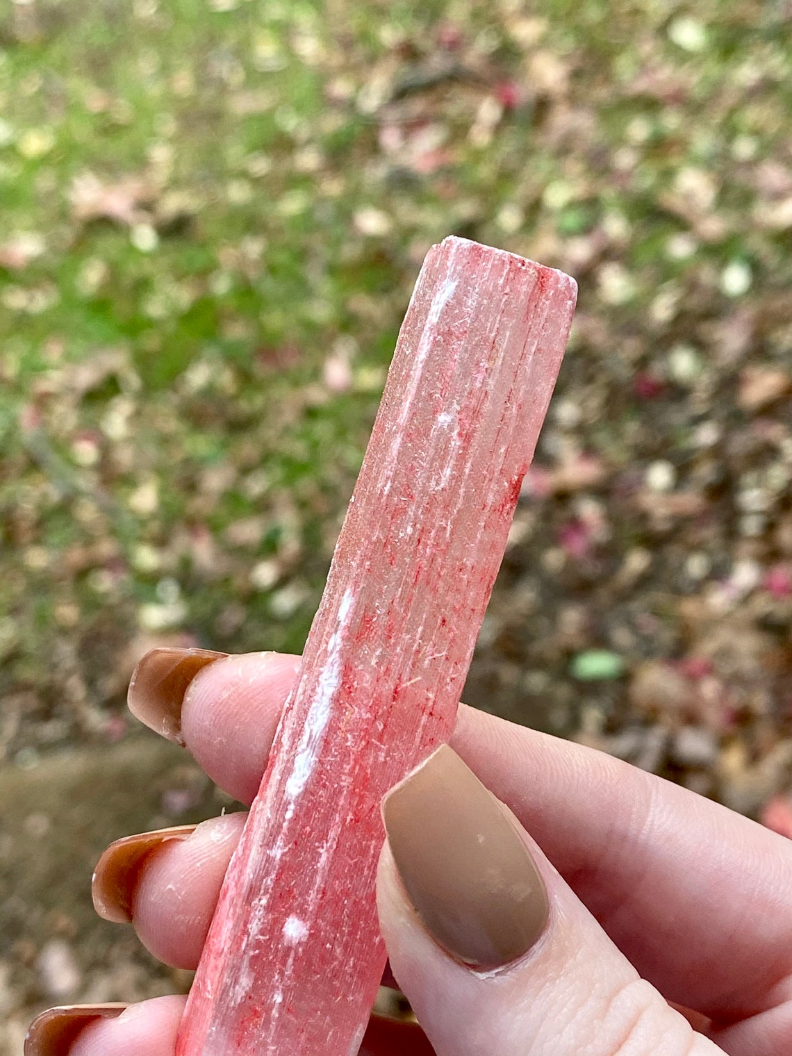 Chakra Dyed Selenite Wand | Reiki, Meditation Tool - Etsy