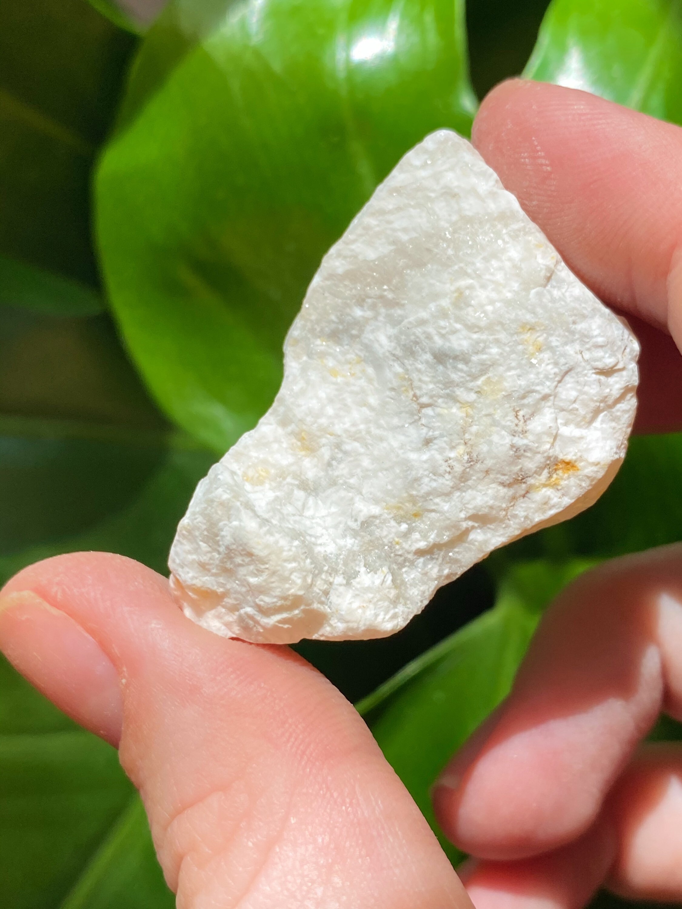 Howlite Raw Crystal Rough Crystal Howlite Marble White | Etsy