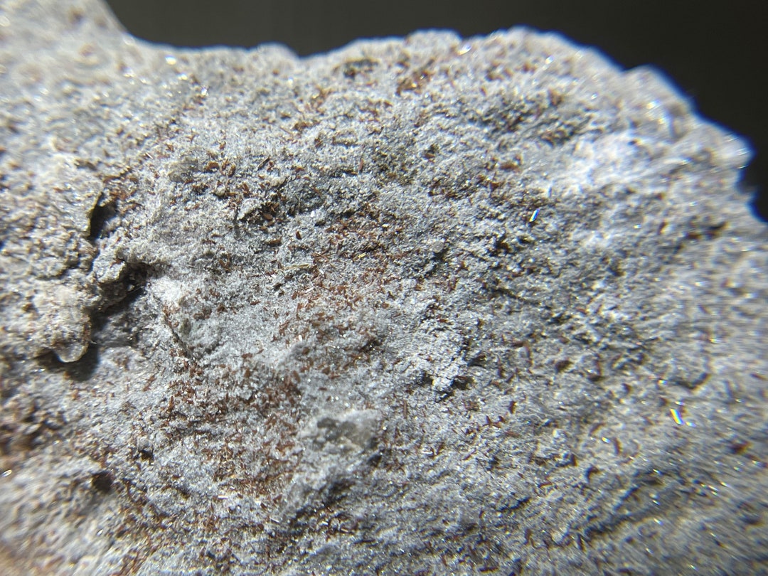Enstatite Crystals on Matrix From Italy - From Old Collection - Etsy