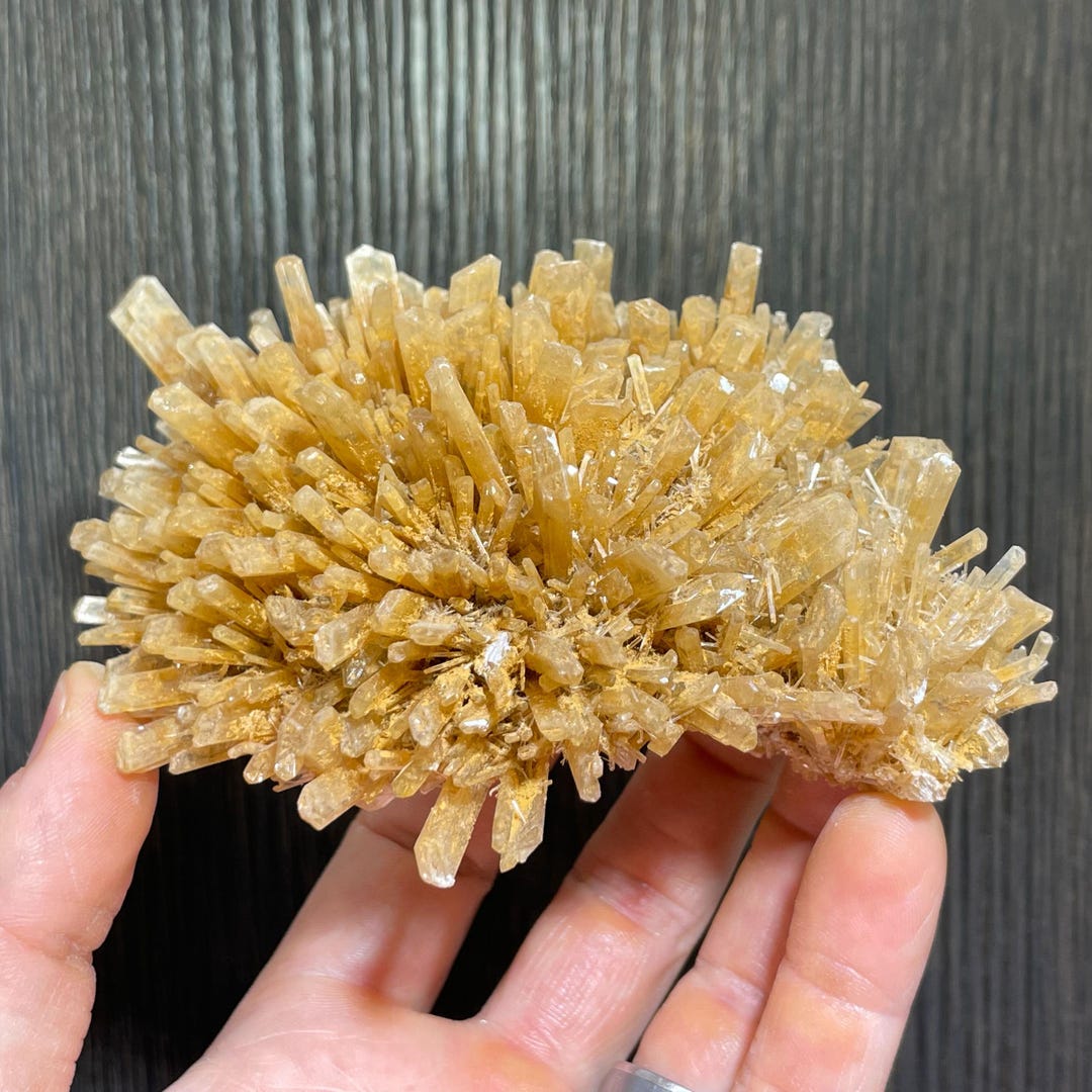 Aesthetic Gypsum Var. Selenite Crystal Cluster From Australia - Etsy