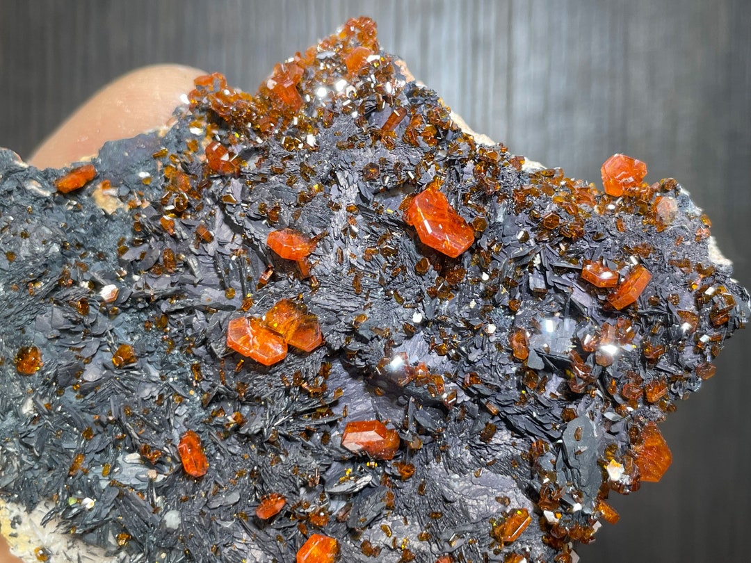 Highly Lustrous Red Vanadinite Crystals on Barite Blades From Morocco ...