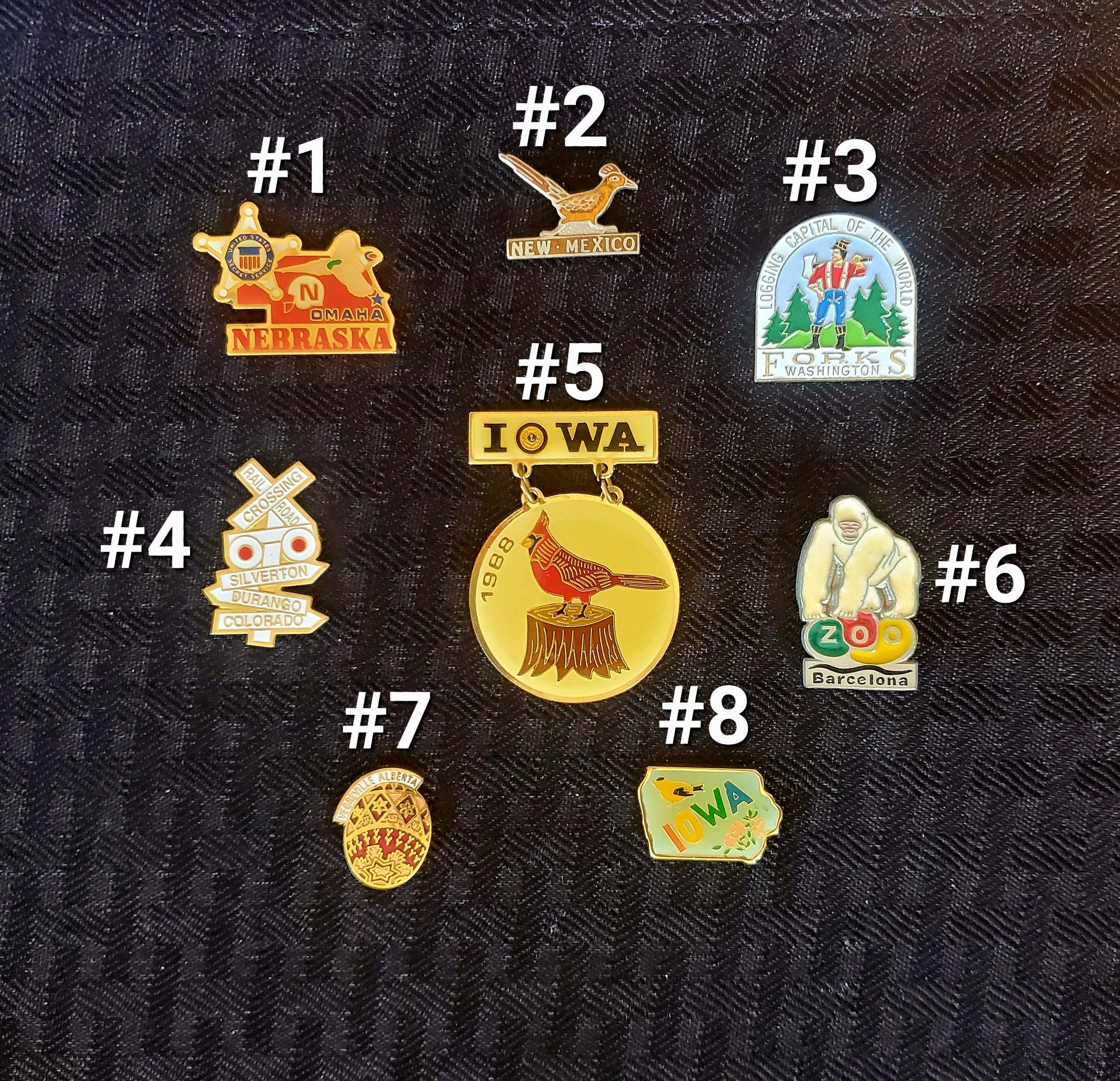Vintage to Now Pins State City Country Destination Travel Souvenir Pins ...
