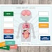 Printable My Body Busy Book, Human Anatomy, Science Activity, About My ...