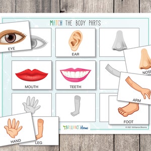 Printable My Body Busy Book, Human Anatomy, Science Activity, About My ...