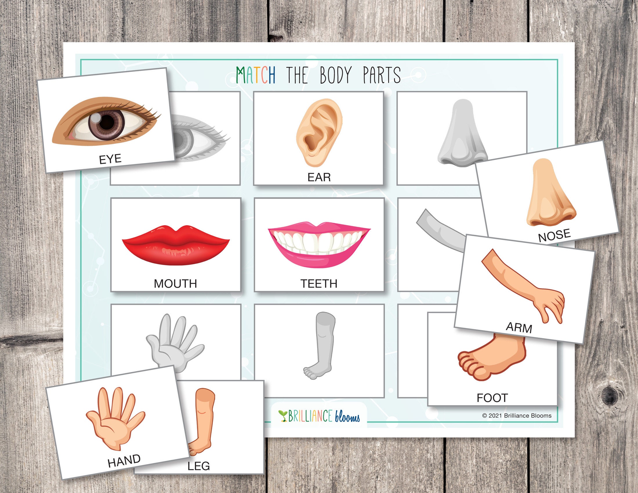 Printable My Body Busy Book, Human Anatomy, Science Activity, About My ...