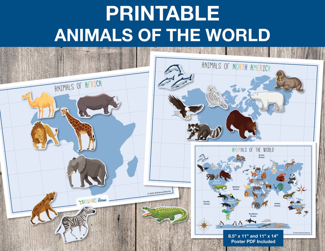 World Animals, Animals of the World, World Animals Map Printable ...