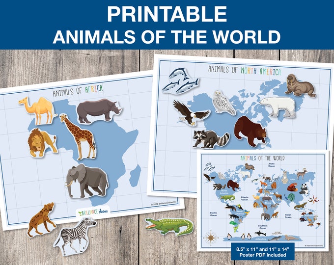 Continents, World Map Printable, Continents of the World, Preschool ...
