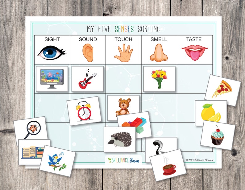 Printable Five Senses, Five Senses Sorting, Toddler Busy Book Page ...