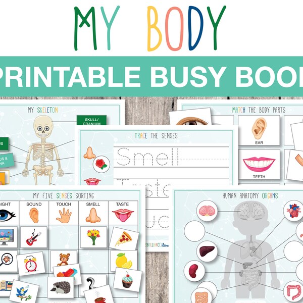 Human Body Book - Etsy