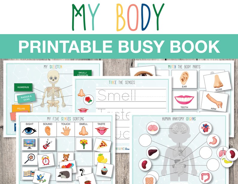 Printable My Body Busy Book Human Anatomy Science Activity - Etsy