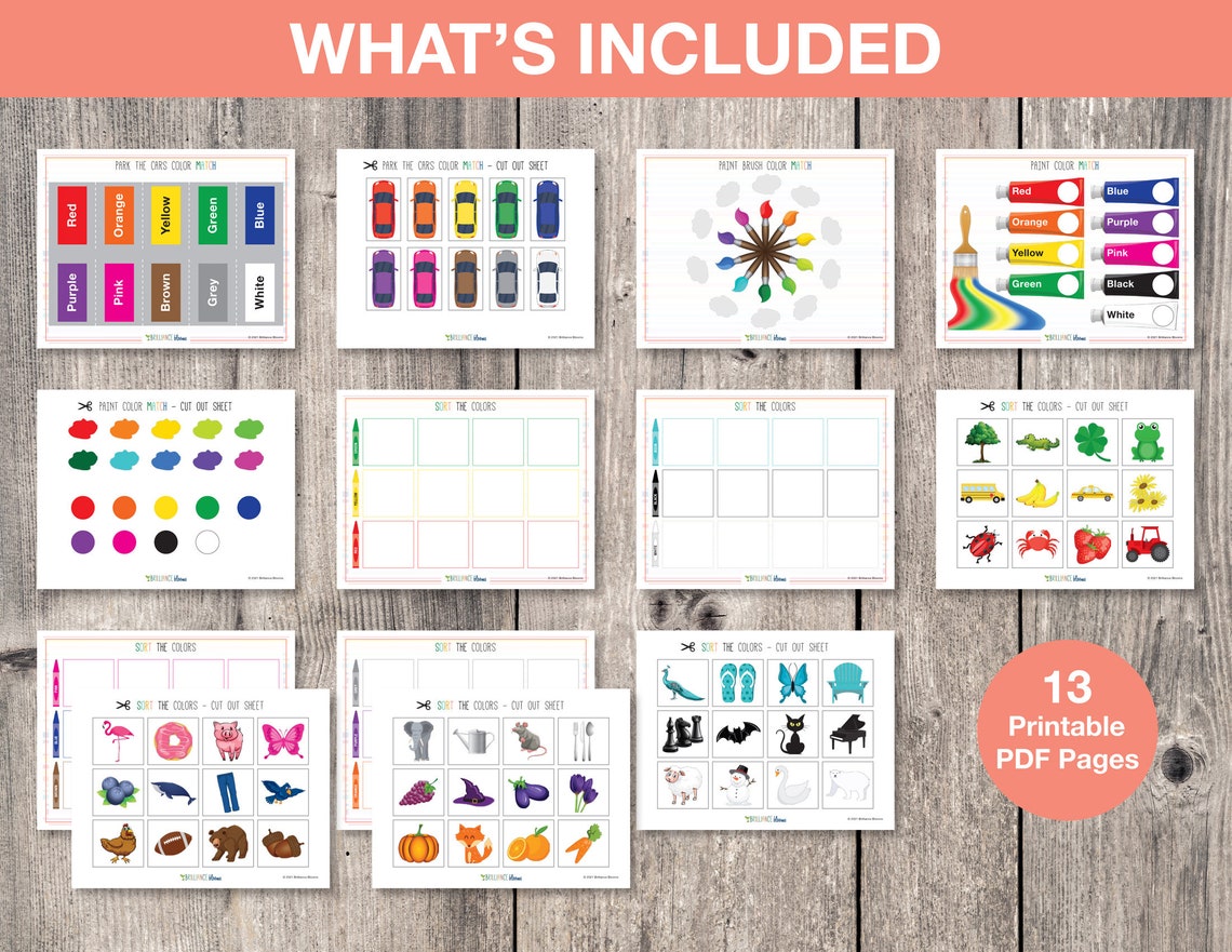 Printable Color Matching Activity, Color Sorting Activity, Preschool ...
