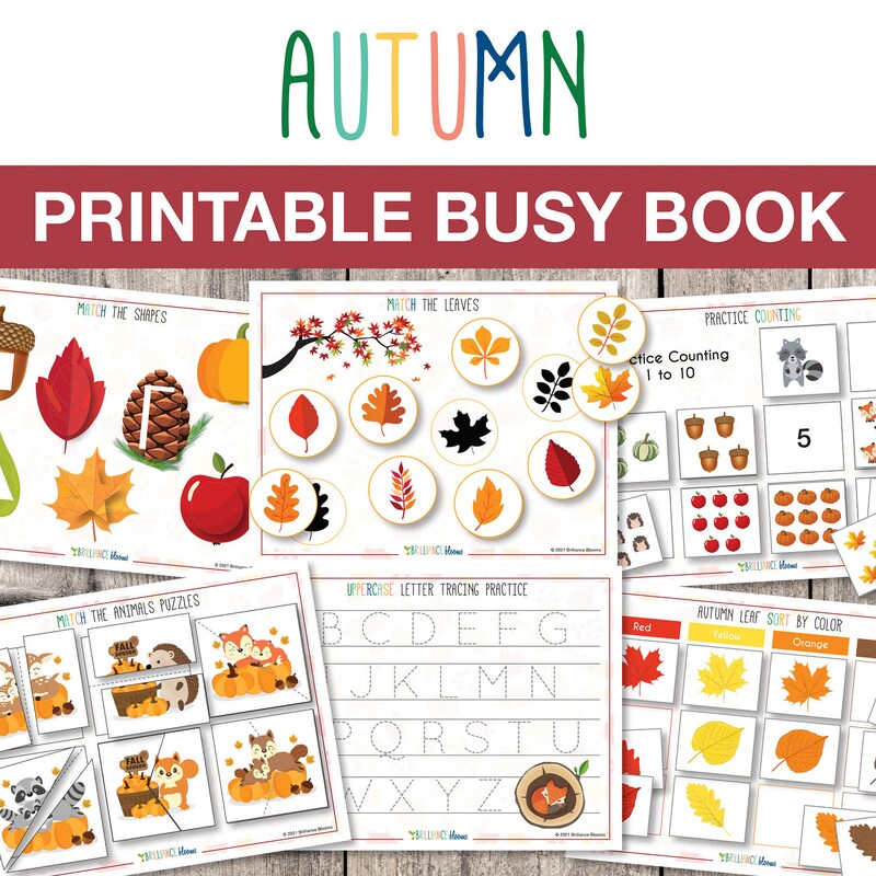 Busy Book - Etsy