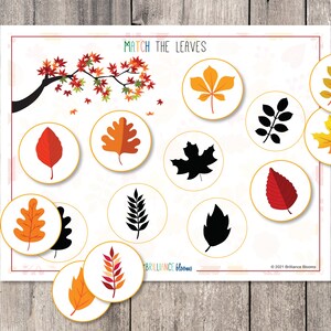 Autumn Printable Toddler Busy Book, Autumn Busy Book, Quiet Workbook ...