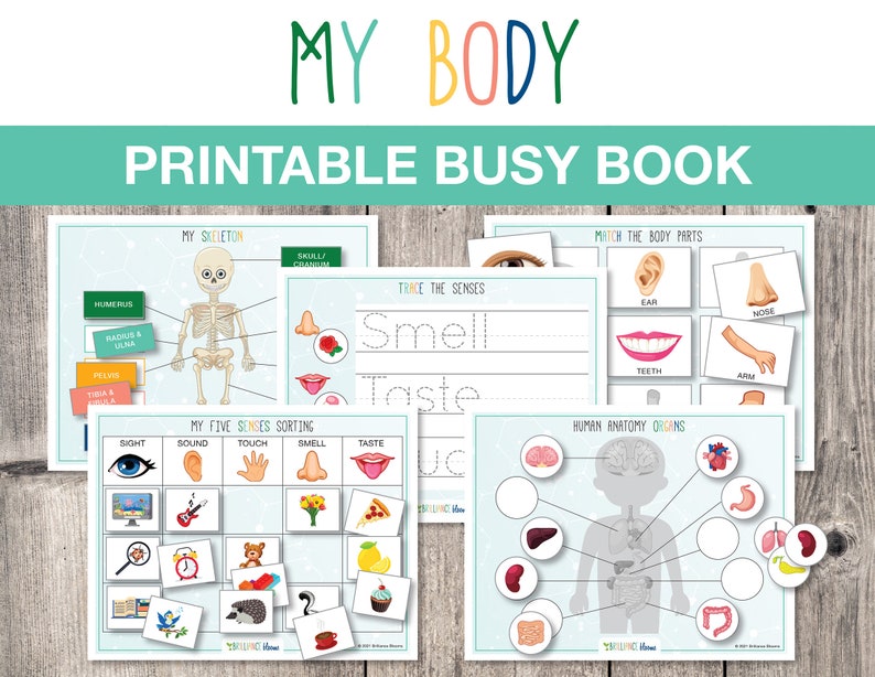 Printable My Body Busy Book, Human Anatomy, Science Activity, About My ...
