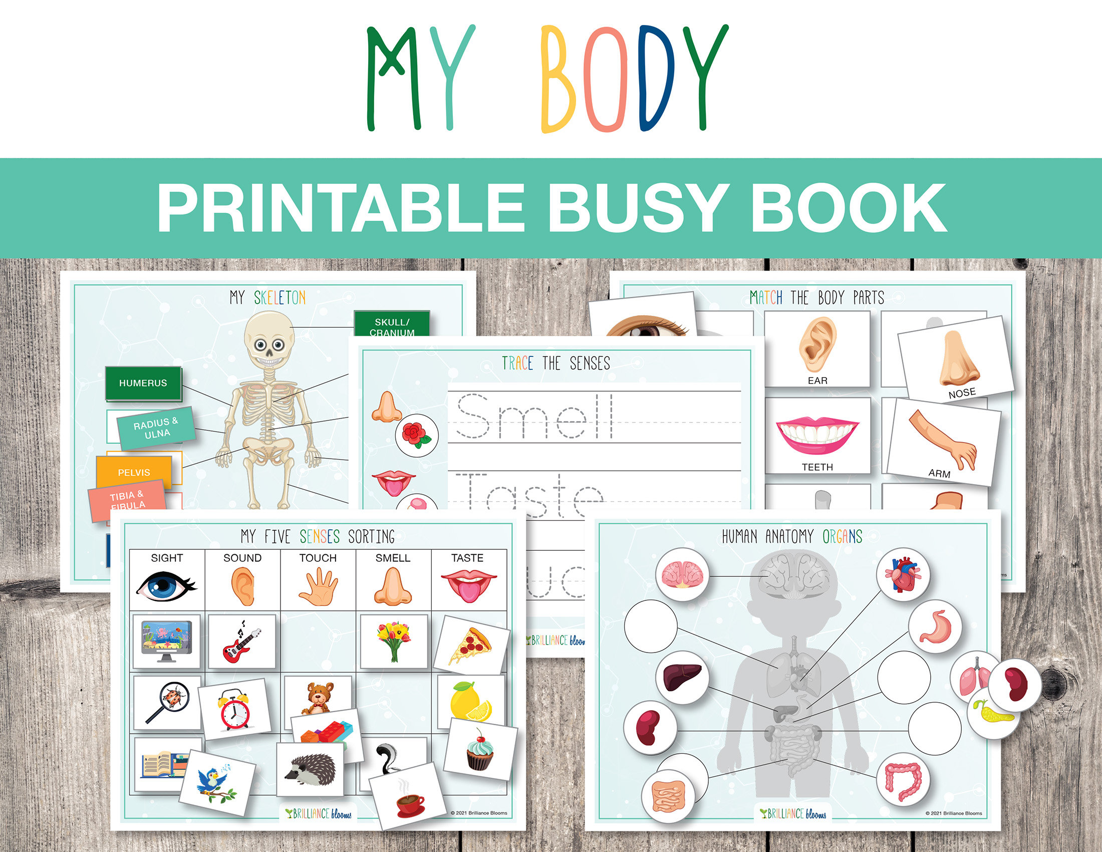 Printable My Body Busy Book, Human Anatomy, Science Activity, About My ...