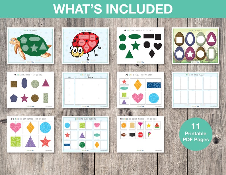 Printable Shape Matching Activity, Shape Sorting Activity, Preschool ...