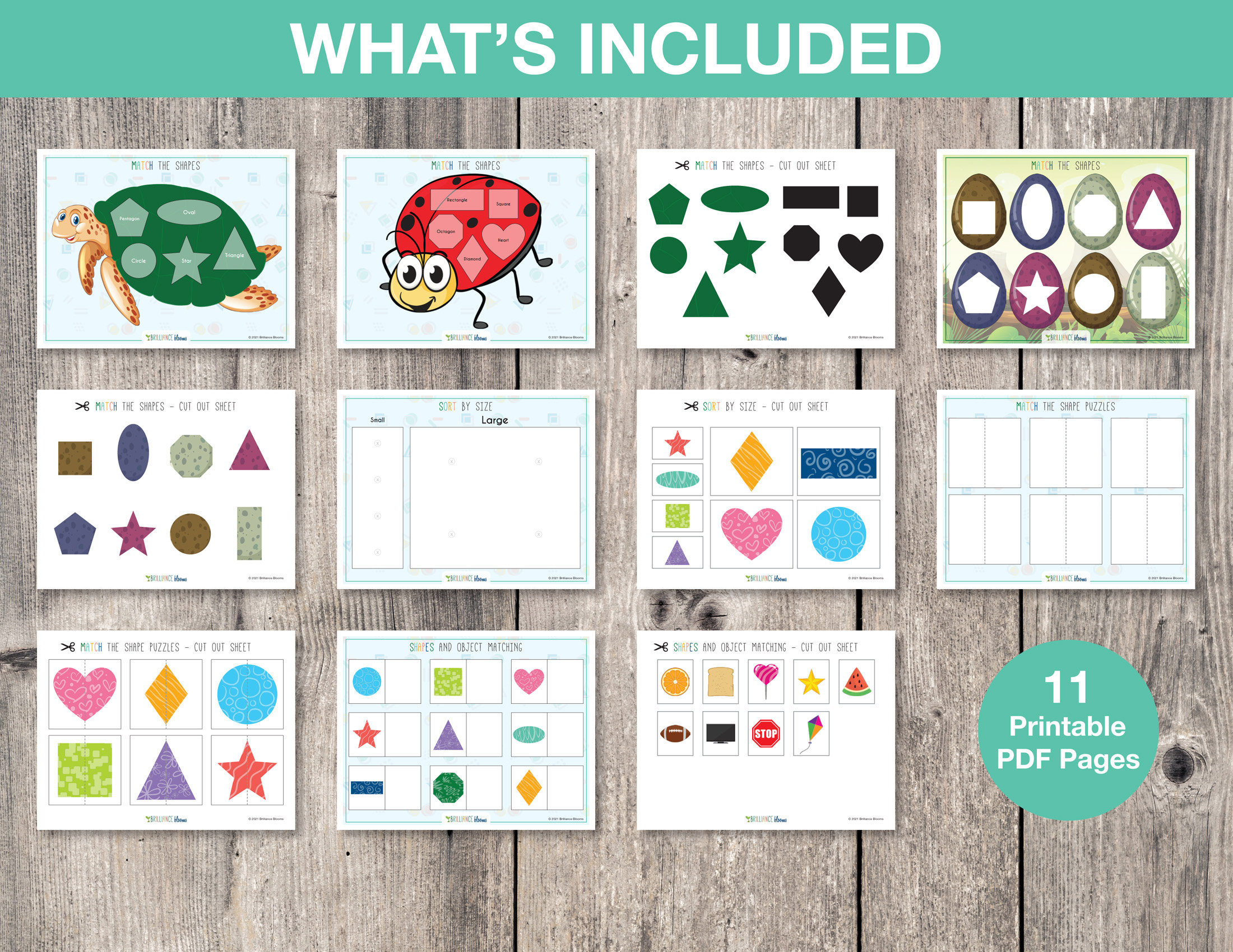 Printable Shape Matching Activity, Shape Sorting Activity, Preschool ...