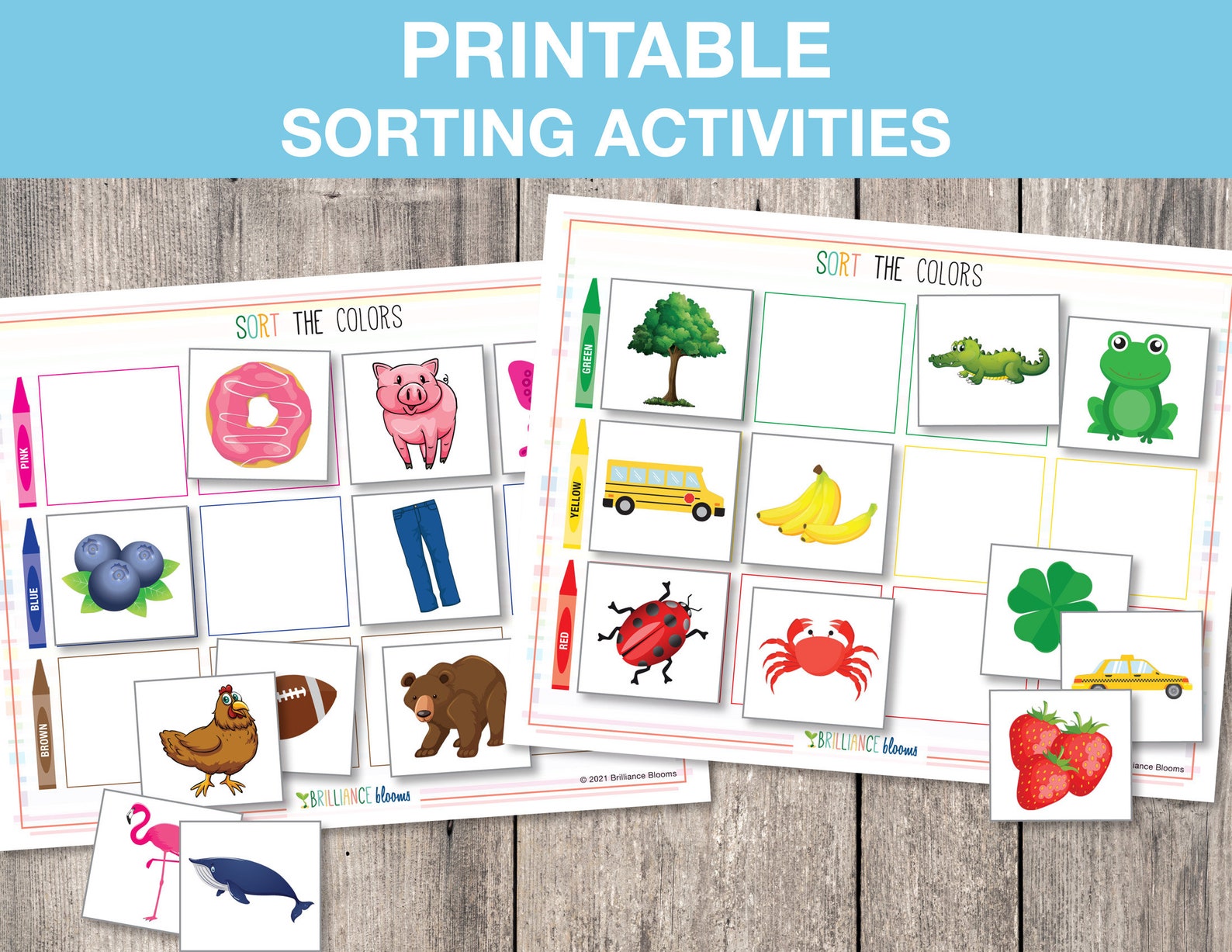 Printable Sorting Activities Color Sorting Color Matching - Etsy