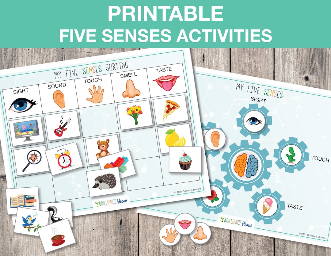 Printable Five Senses Five Senses Sorting Toddler Busy Book - Etsy