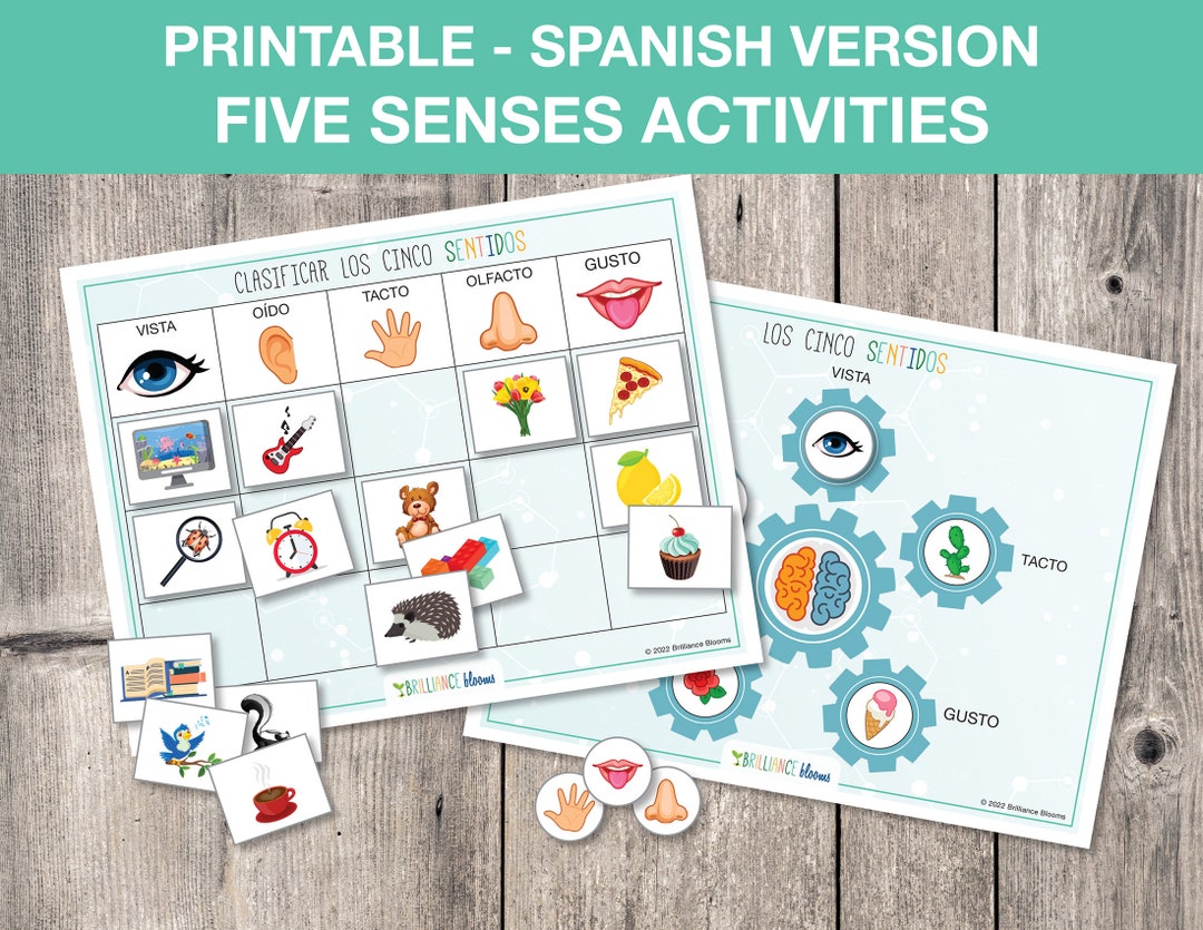 Spanish Printable Five Senses, Five Senses Sorting, Toddler Busy Book ...
