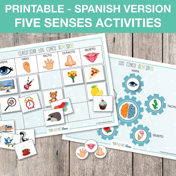 Preschool 5 Senses Match and Clip Cards/ Toddler Five Senses Activity ...