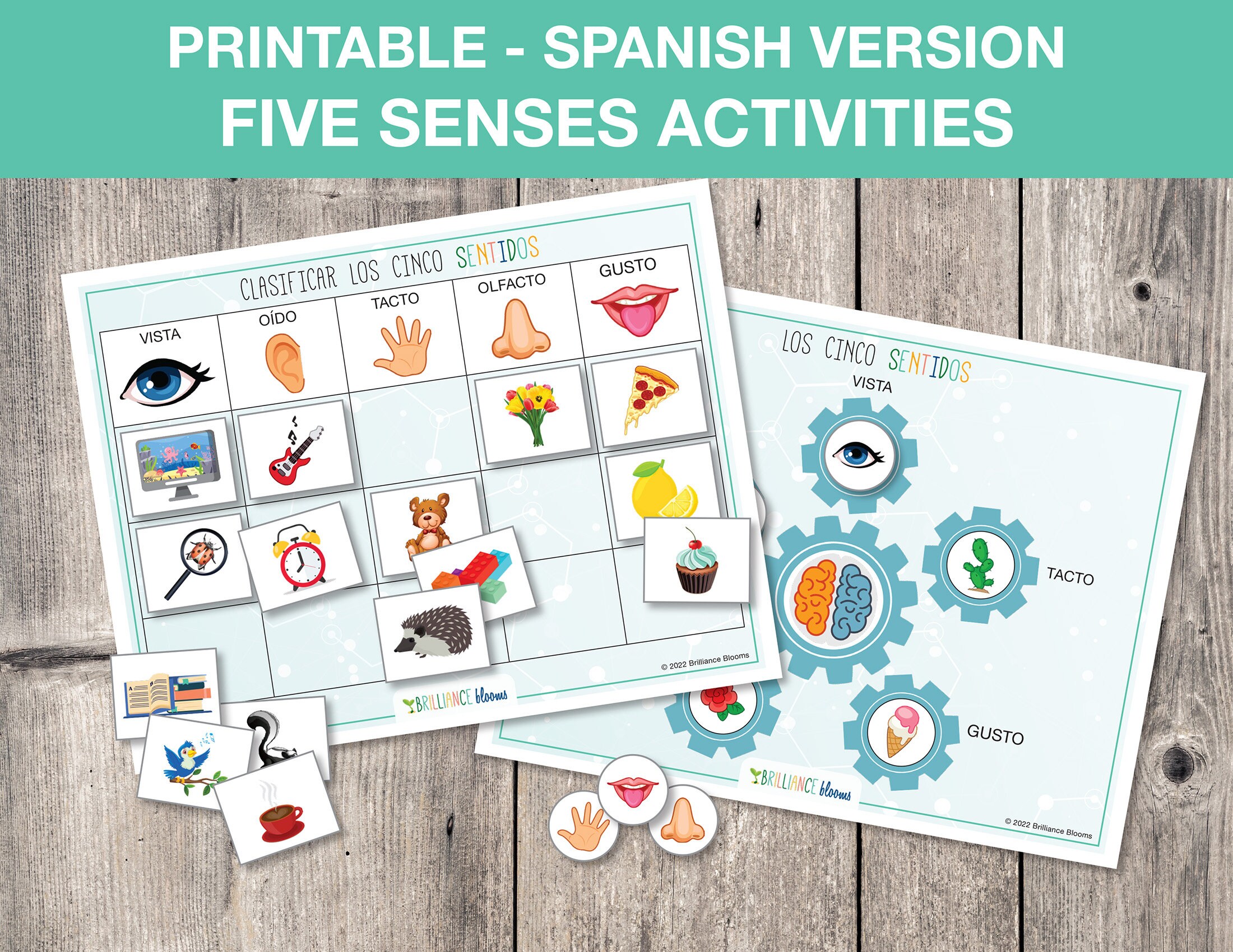 Spanish Printable Five Senses, Five Senses Sorting, Toddler Busy Book ...