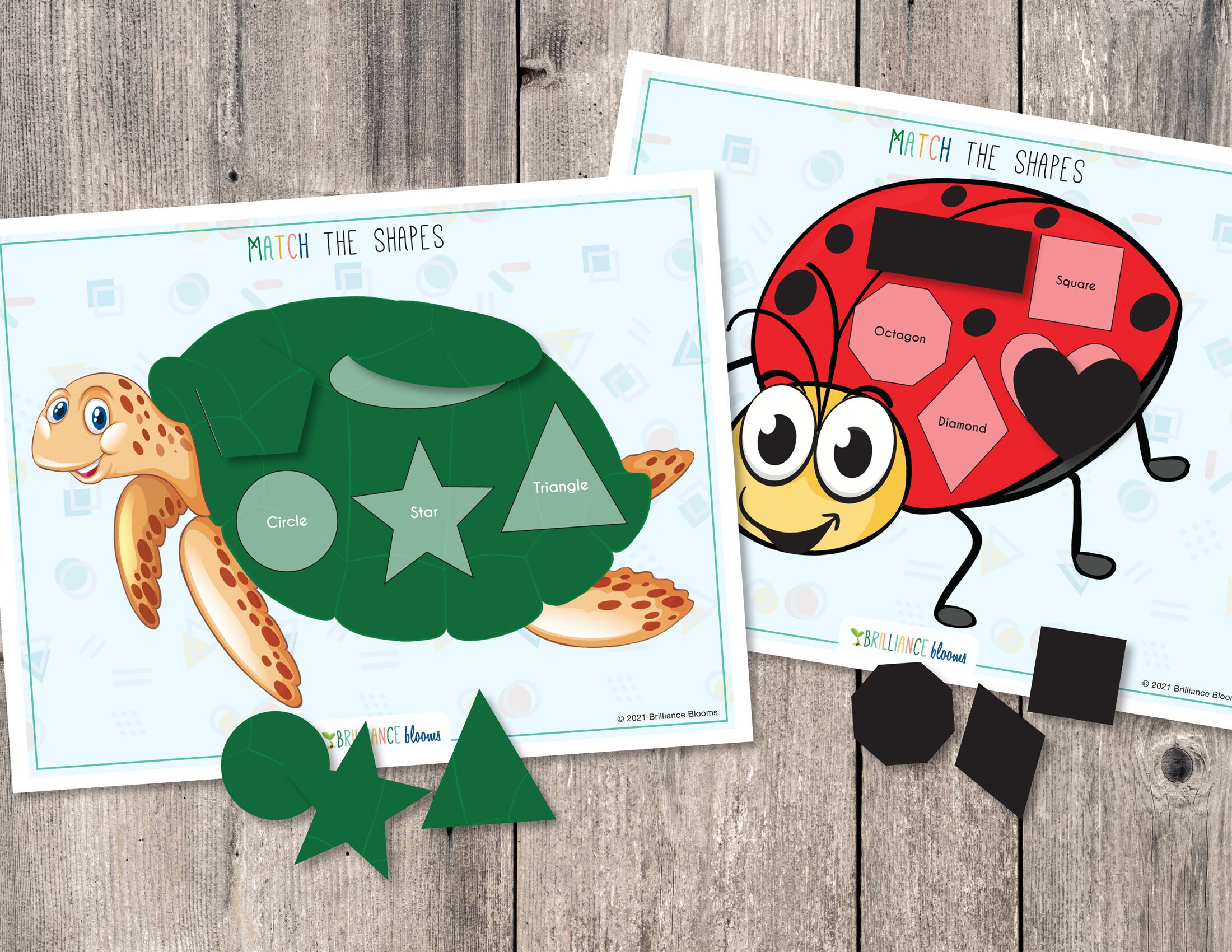 Printable Shape Matching Activity, Shape Sorting Activity, Preschool ...