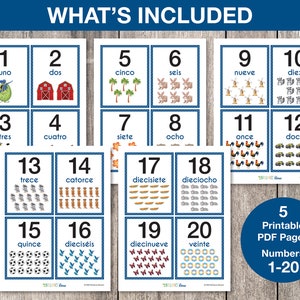 Spanish Printable Number Flashcards, Numbers 1-20, Preschool Activity ...