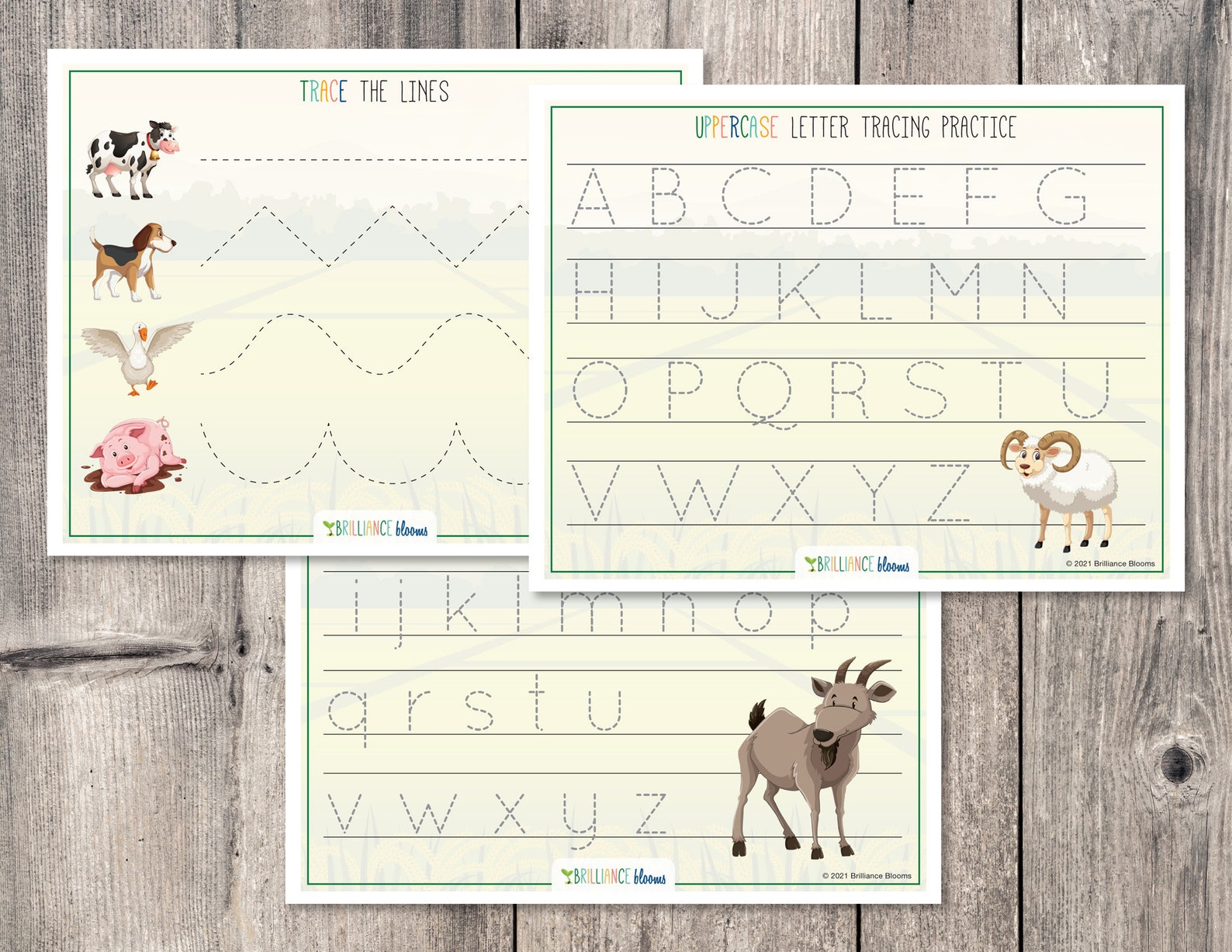 Printable Farm Animals Busy Book Toddler Busy Book Quiet | Etsy