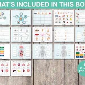 Printable My Body Busy Book, Human Anatomy, Science Activity, About My ...