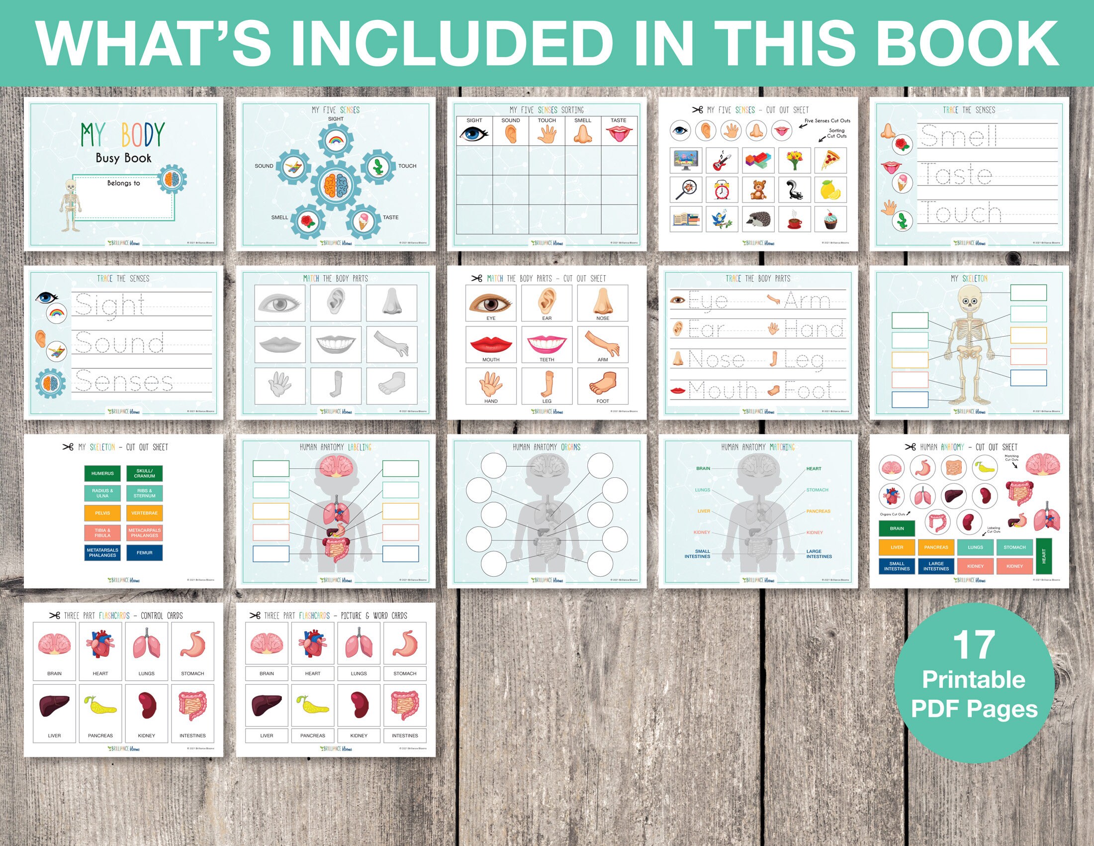 Printable My Body Busy Book, Human Anatomy, Science Activity, About My ...