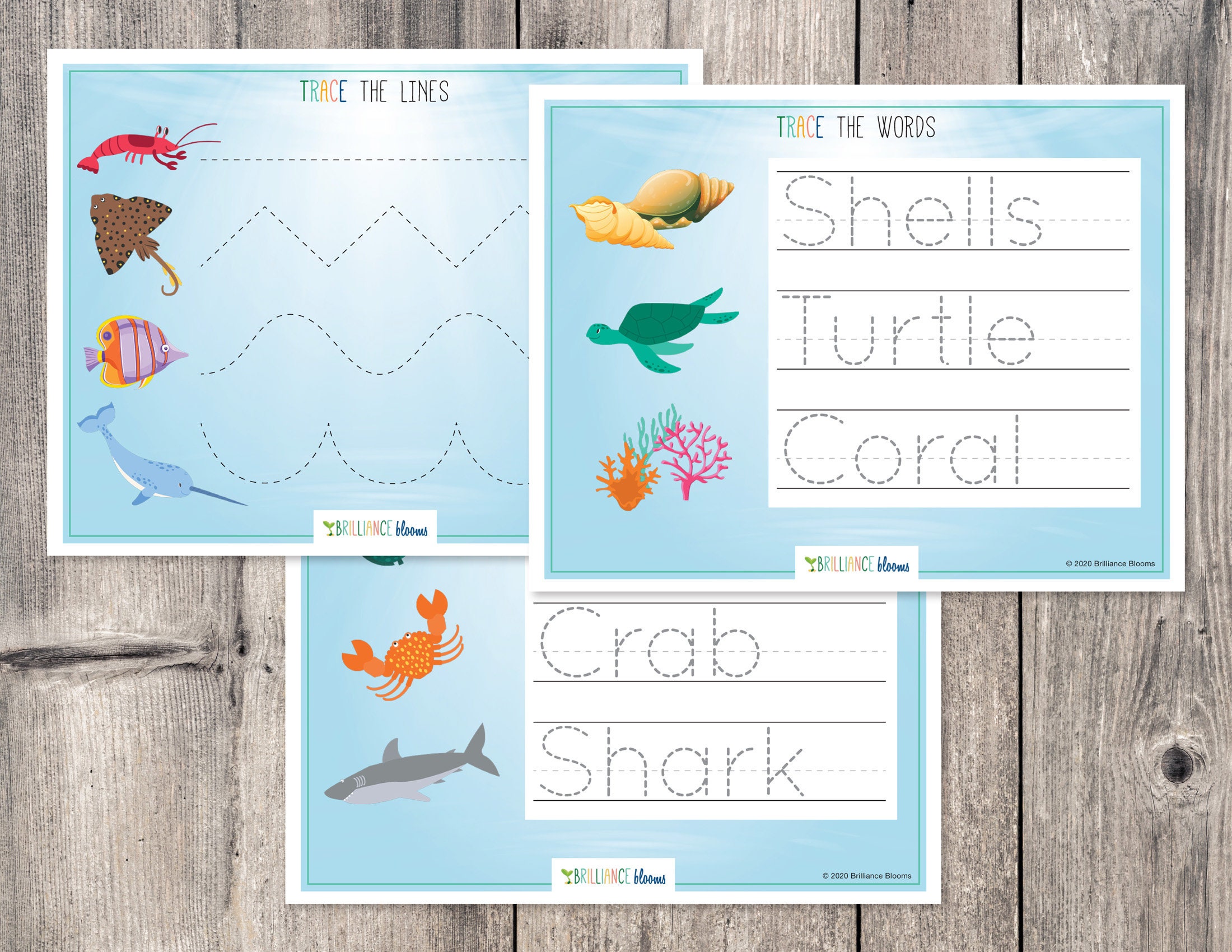 Printable Toddler Busy Book, Ocean Busy Book, Quiet Workbook, Ocean ...