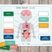 Printable Human Anatomy, Anatomy Busy Book, Science Activity, About My ...