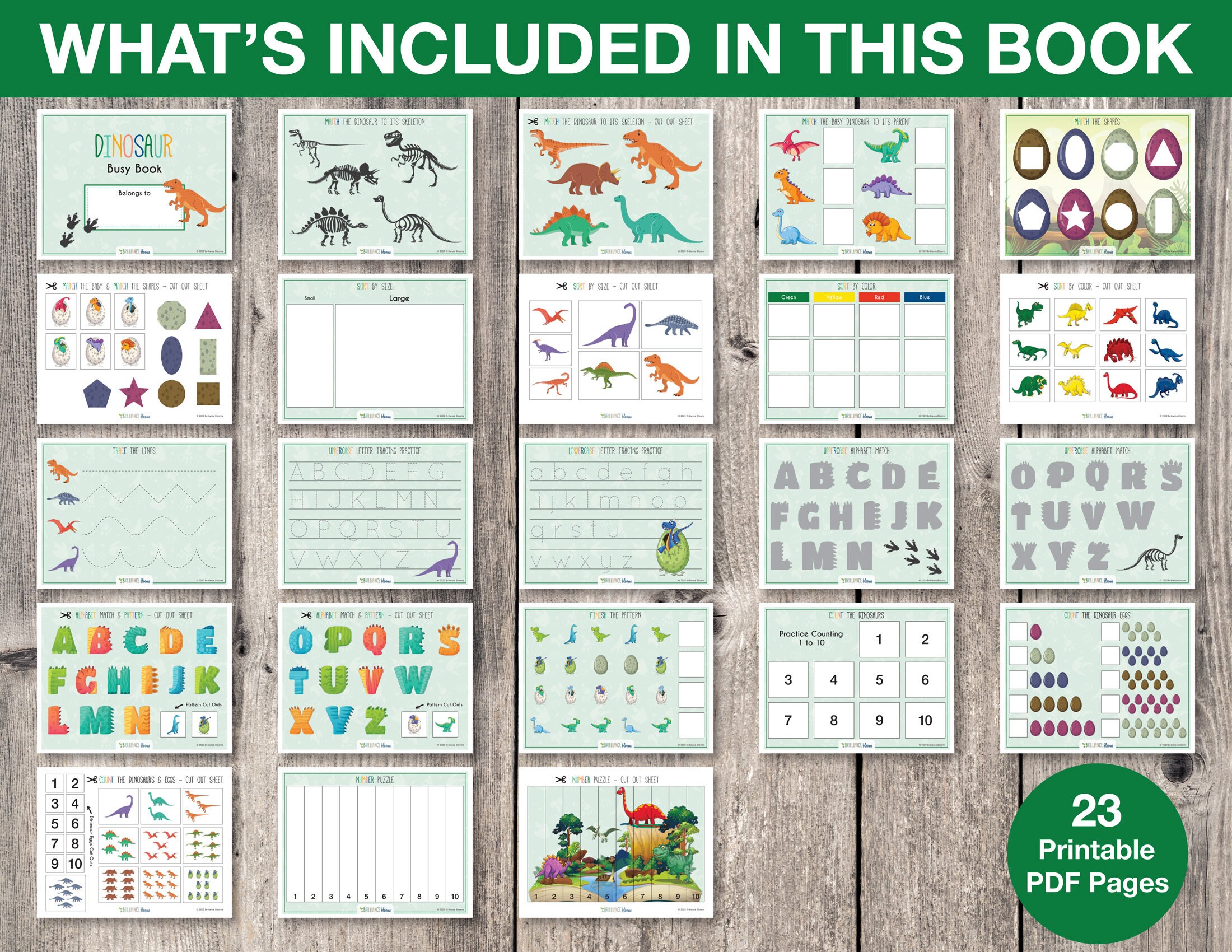 Printable Dinosaur Busy Book, Toddler Busy Book, Quiet Workbook ...