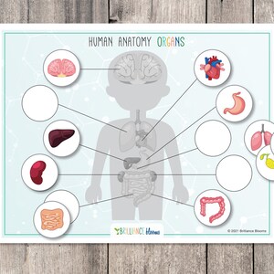 Printable My Body Busy Book, Human Anatomy, Science Activity, About My ...